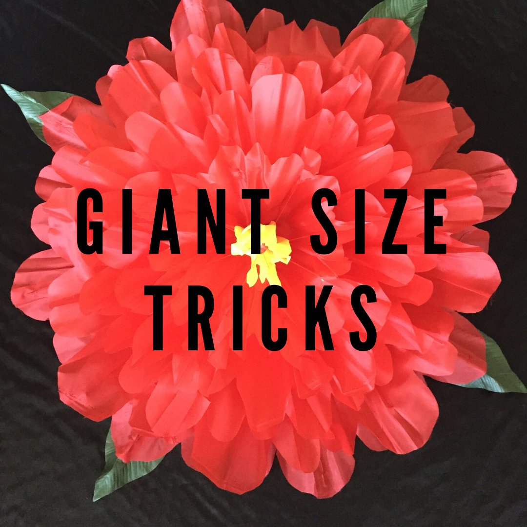 Giant-Sized Tricks – LaflinMagicStore